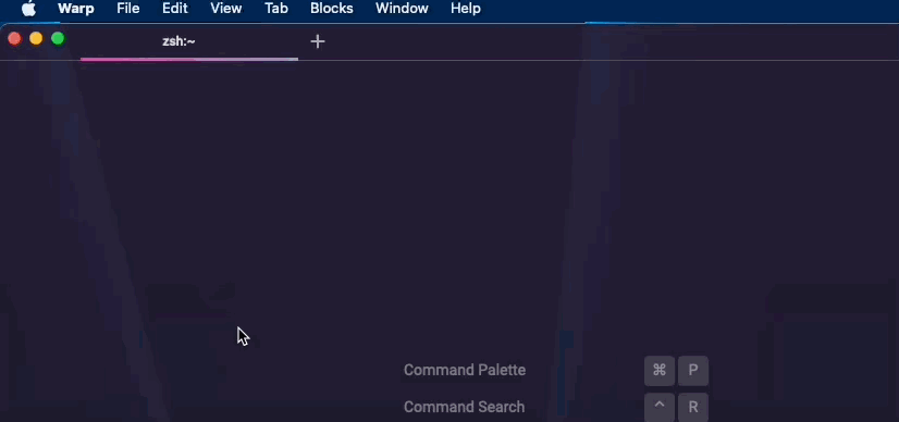 Clicking the Menu entry Warp → Settings, instead of Warp → Settings → Settings closes the menu ...