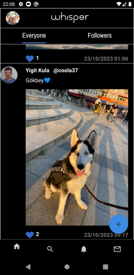 GitHub - Coola37/Whisper-SocilMediaApp