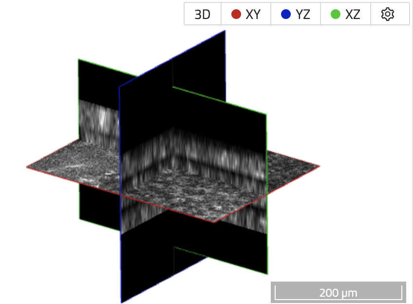 Maximizing 3D viewport triggers mag warning · Issue #6354 · scalableminds/webknossos · GitHub