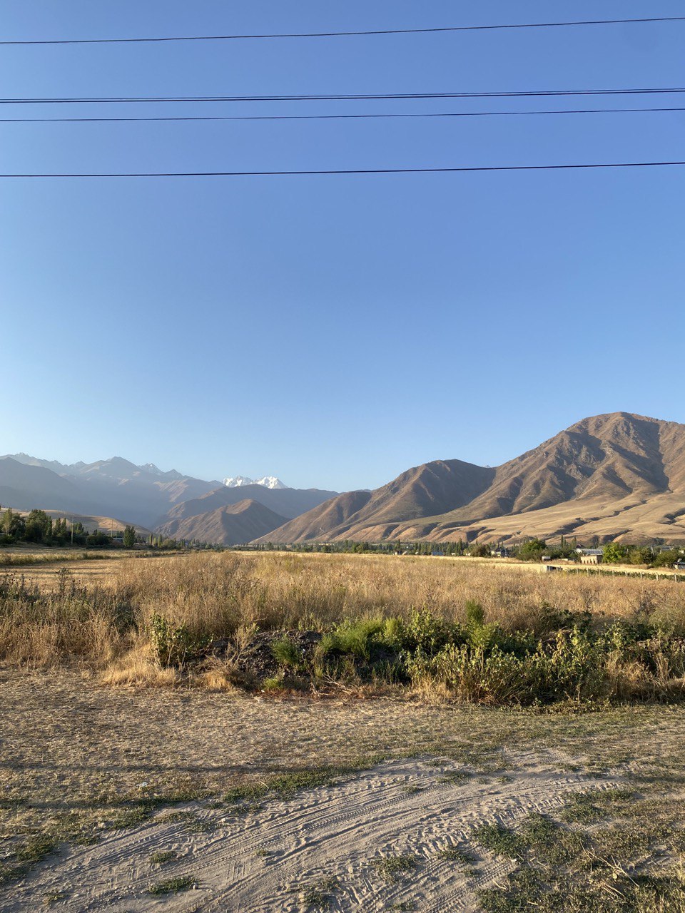 GitHub - K1mosan/Viktor_Kim_hw2