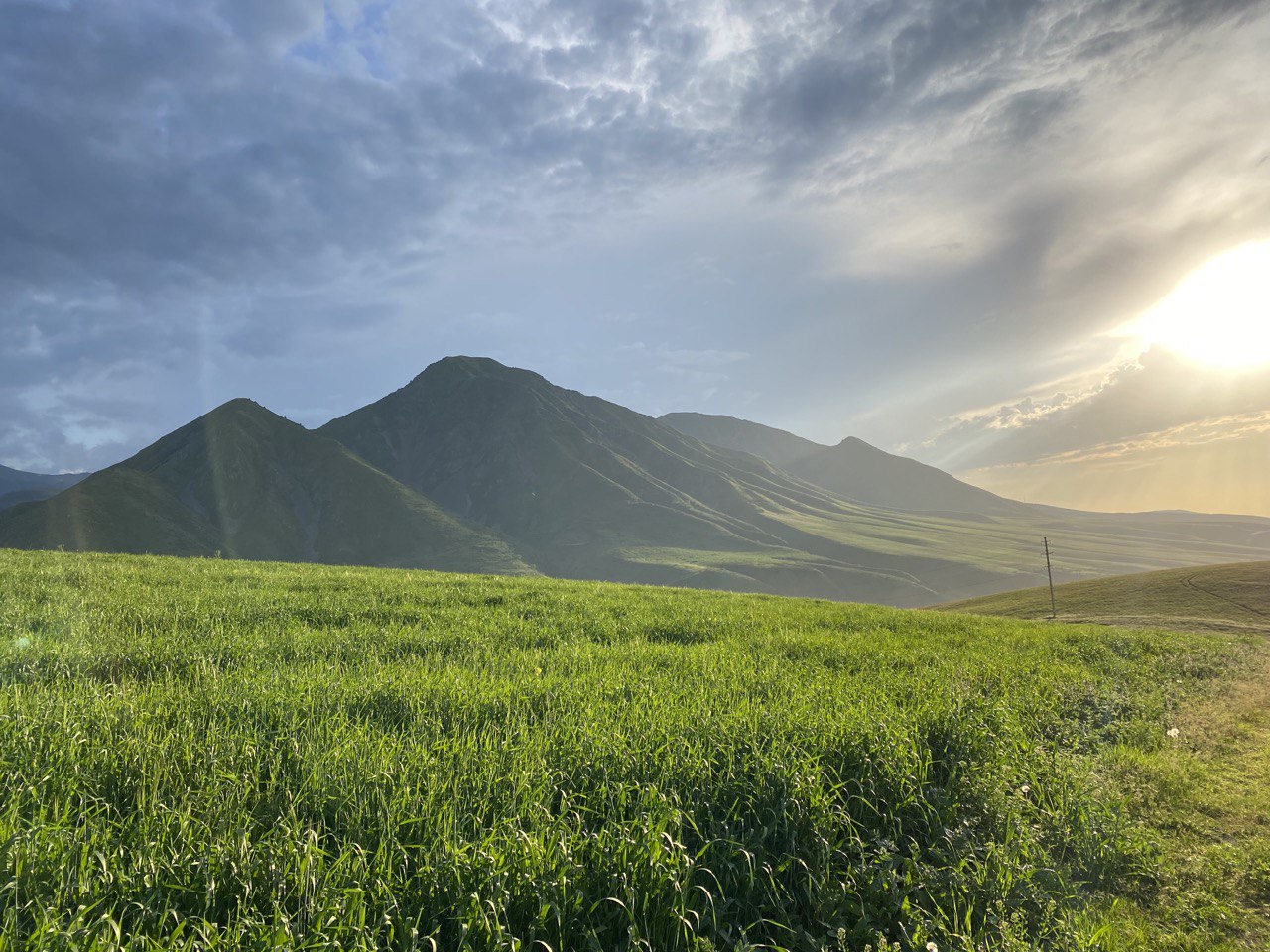 GitHub - K1mosan/Viktor_Kim_hw2