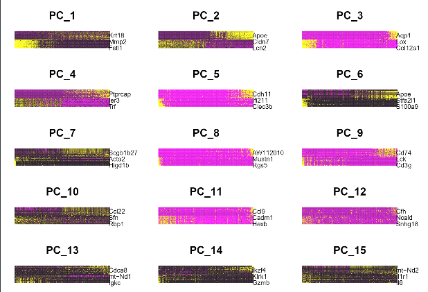 GitHub - gunj007/ScRNA-Seq