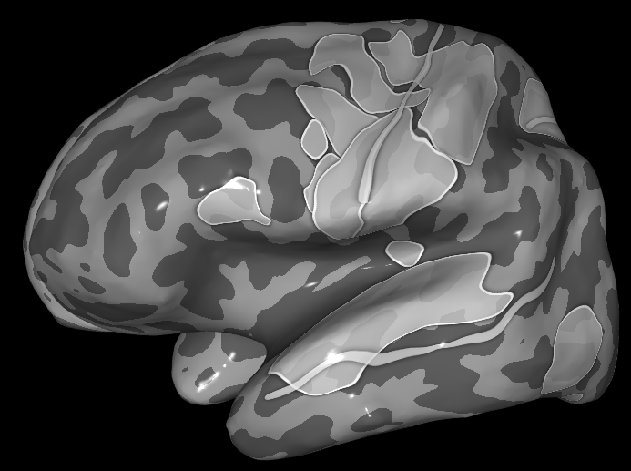 Fill ROIs on brain viewer · Issue #373 · gallantlab/pycortex · GitHub