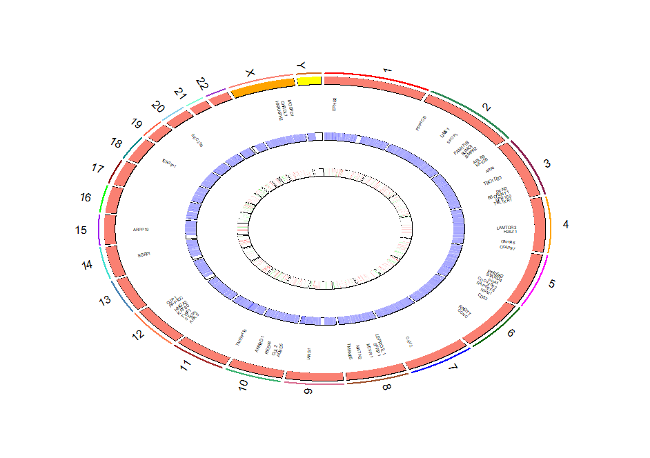 Github Mahima1820 Circos Plot