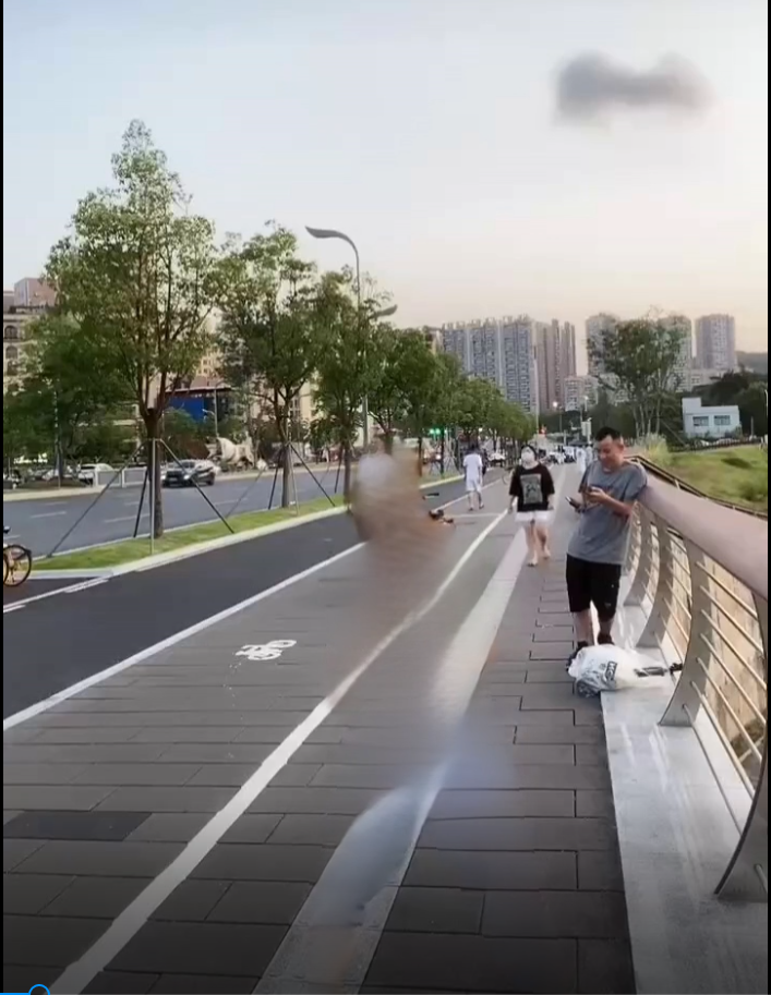 The result is not very good, do you want to train it? · Issue #44 · sczhou/ProPainter · GitHub