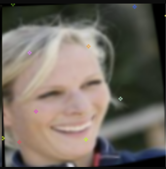 Problem in recreating results · Issue #1 · DuaneNielsen/keypoints · GitHub