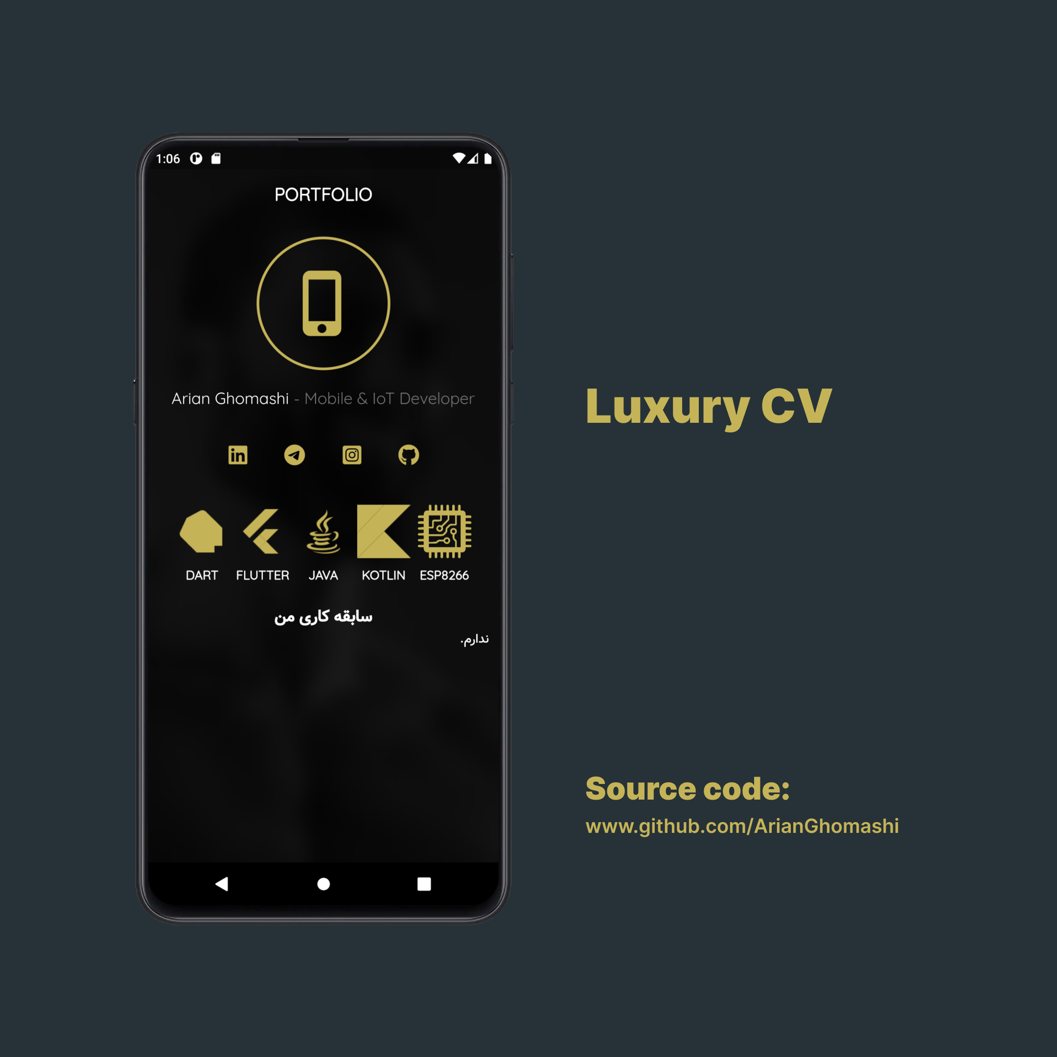GitHub - ArianGhomashi/luxury_cv