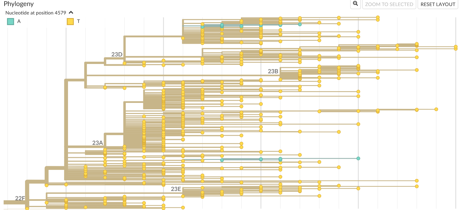 2nd-Generation BA.2 Saltation Lineage, >30 spike mutations (3 seq, 2 ...