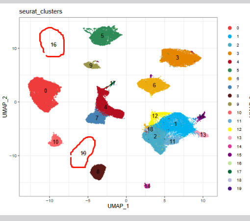 In the process of single-cell clustering, there are always some independent small subgroups, and ...