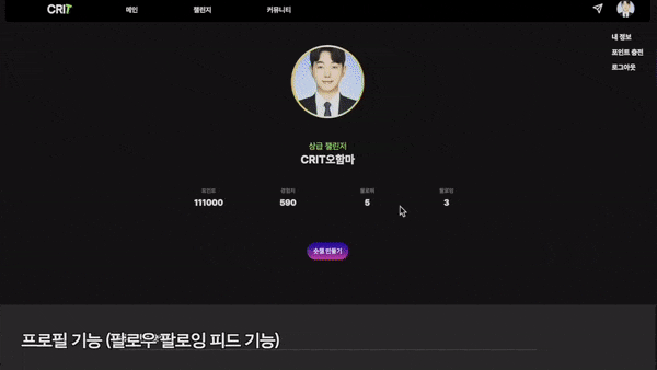 GitHub - D201-Crit/CRIT
