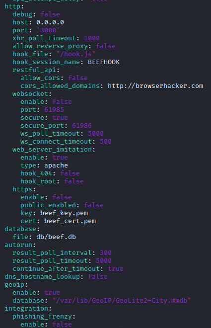 How do I configure BeEF with ngrok? · Issue #2537 · beefproject/beef · GitHub
