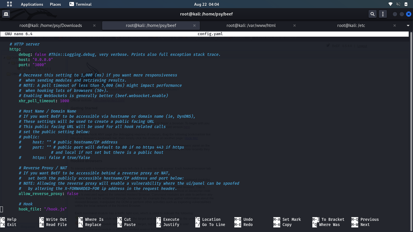 Troubleshooting the Beef -portmap - portforwarding - outside the local network issue · Issue ...