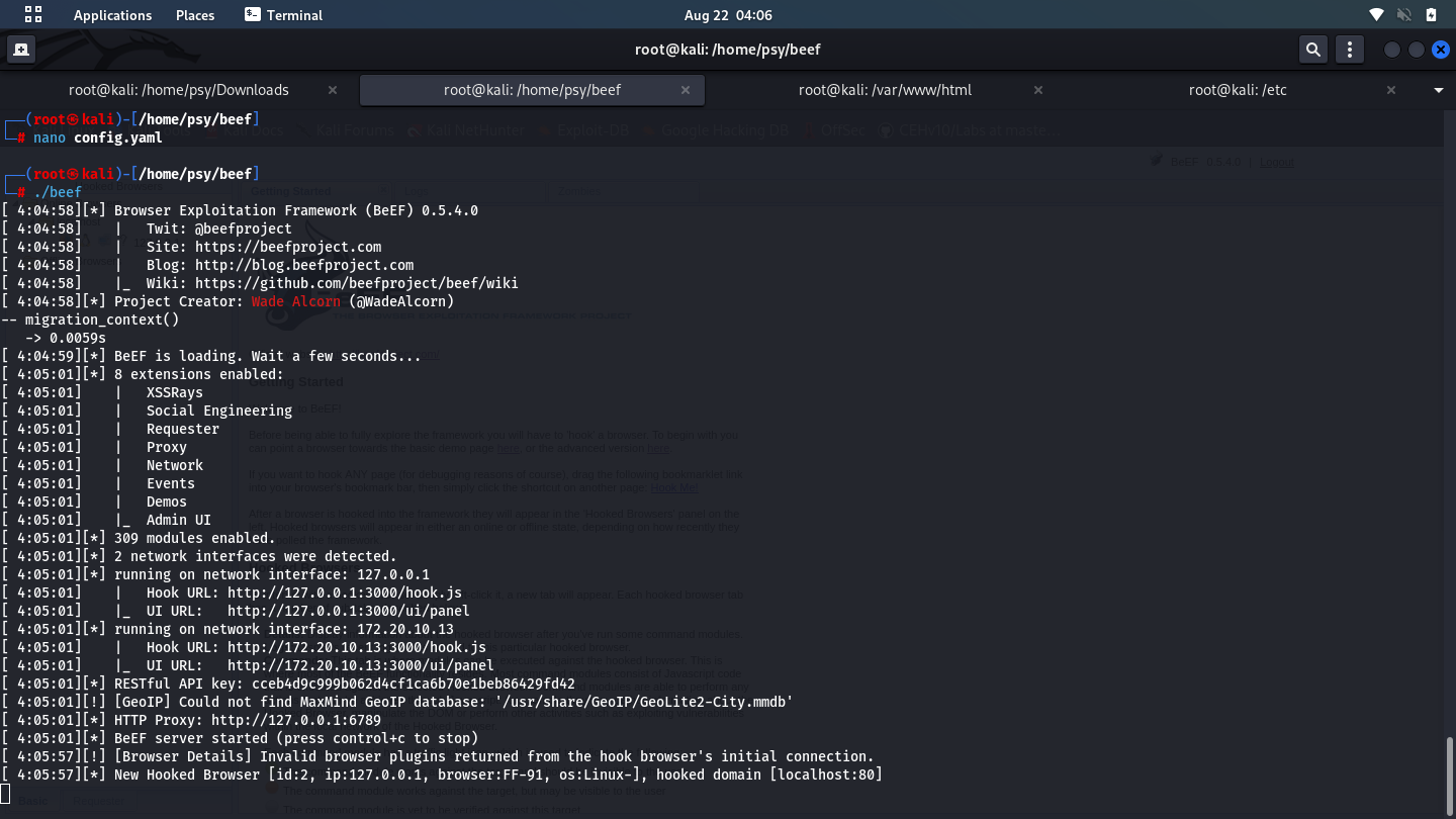 Troubleshooting the Beef -portmap - portforwarding - outside the local network issue · Issue ...