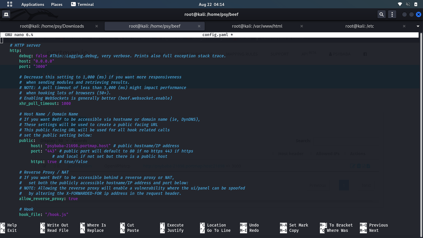 Troubleshooting the Beef -portmap - portforwarding - outside the local network issue · Issue ...