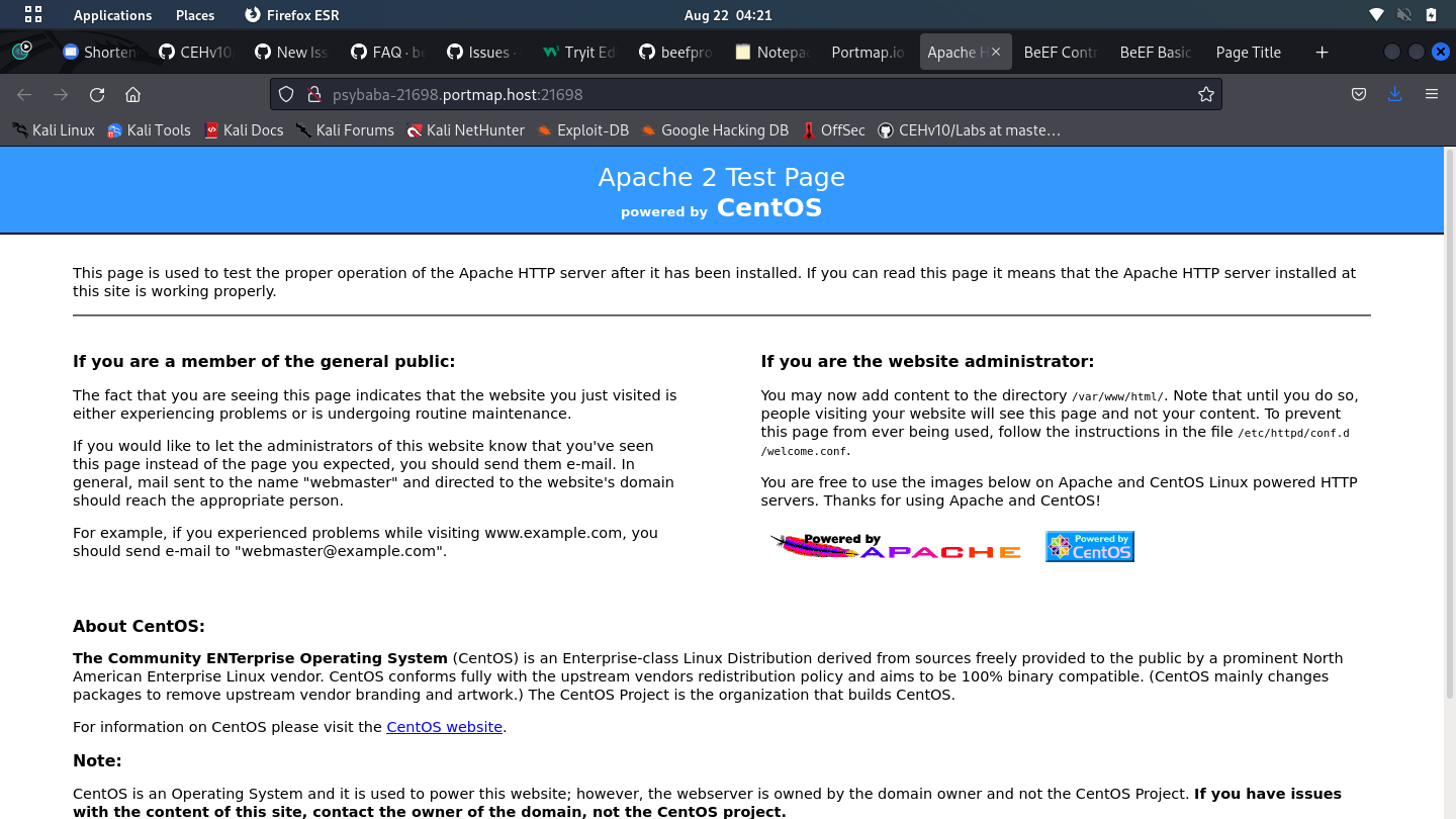 Troubleshooting the Beef -portmap - portforwarding - outside the local network issue · Issue ...
