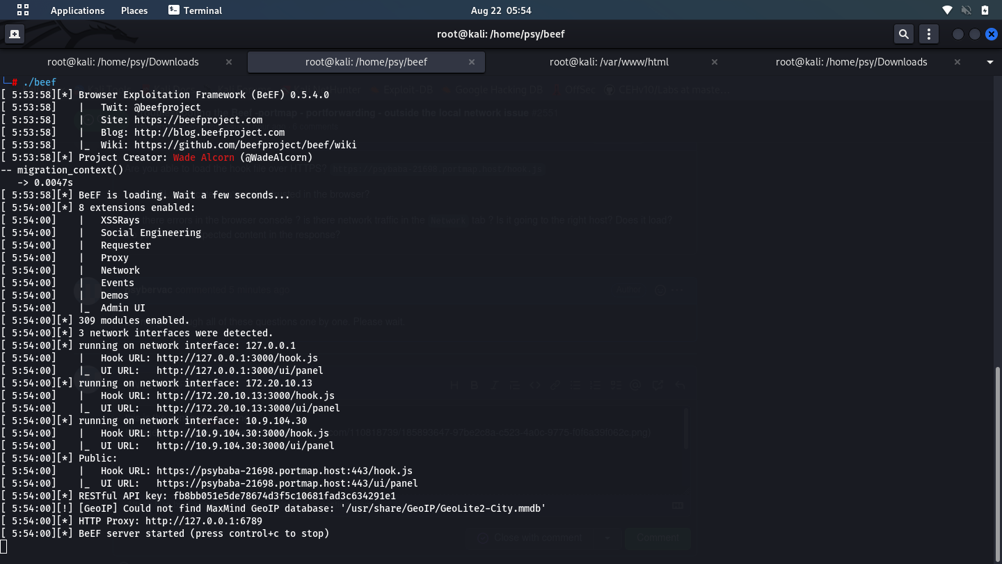 Troubleshooting the Beef -portmap - portforwarding - outside the local network issue · Issue ...