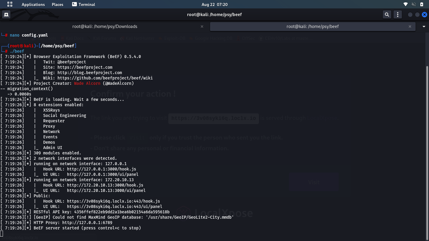 Troubleshooting the Beef -portmap - portforwarding - outside the local ...
