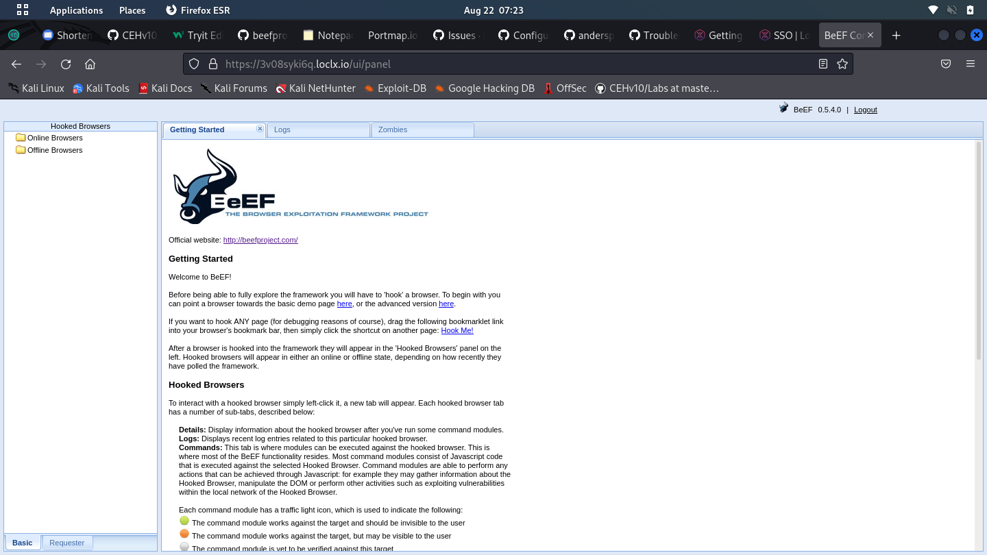 Troubleshooting the Beef -portmap - portforwarding - outside the local network issue · Issue ...