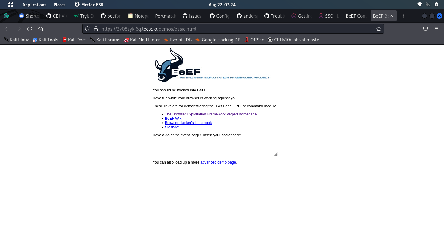 Troubleshooting the Beef -portmap - portforwarding - outside the local network issue · Issue ...