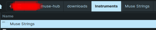 Muse Sounds not detected by MuseScore or Muse Hub (Linux) · Issue ...