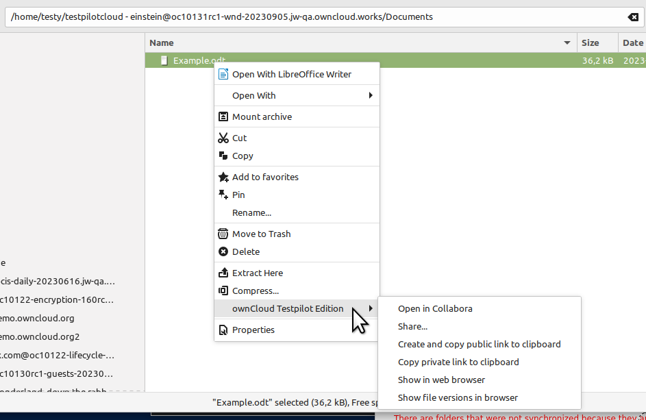 [QA] nautilus integration menu missing, when username contains special characters · Issue #11183 ...
