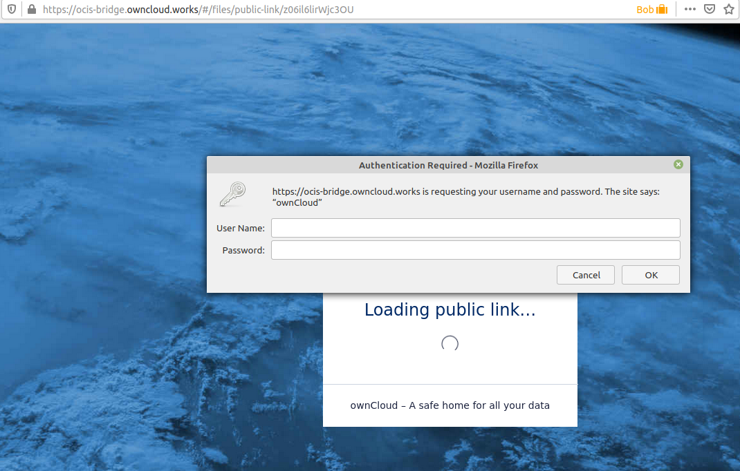 [QA] Password protected public link asks for a username · Issue #828 · owncloud/ocis · GitHub