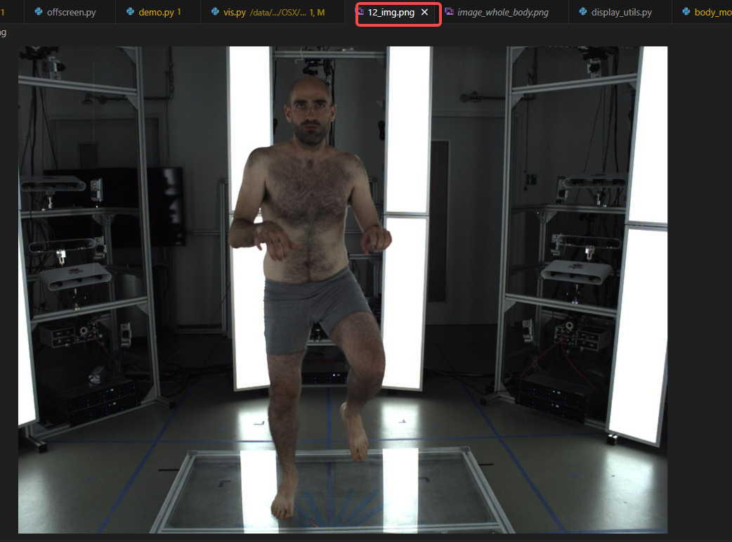 run demo.py get bad results · Issue #37 · IDEA-Research/OSX · GitHub
