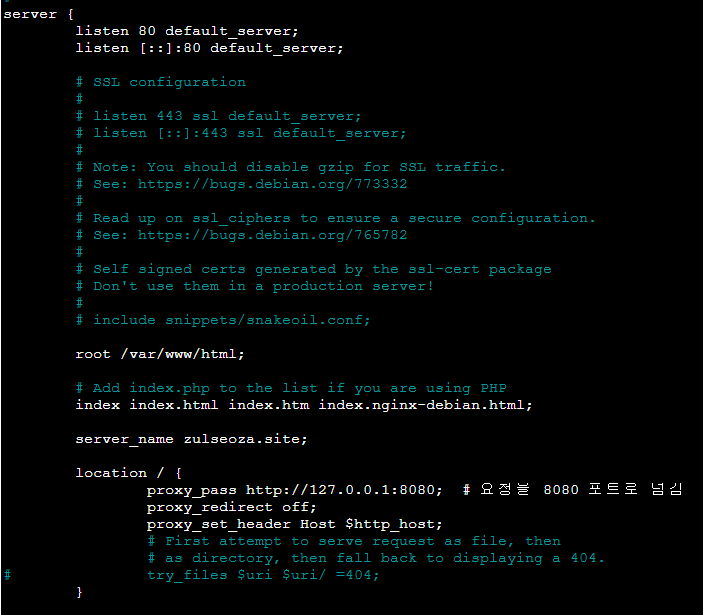 Aws Route 53 And Nginx 호스팅과 Certbot 인증 적용