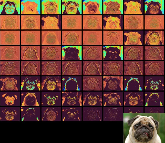 GitHub - Mitra-Pidaparti/Classification