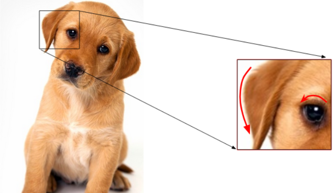 GitHub - Mitra-Pidaparti/Classification