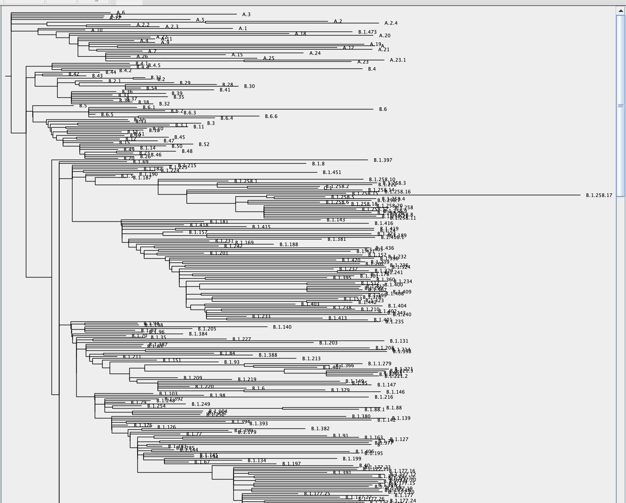 Incorrect scaling in timetree · Issue #245 · PoonLab/covizu · GitHub