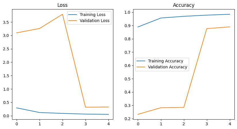 GitHub - srt3264/Brain-Tumor-MRI-Classification