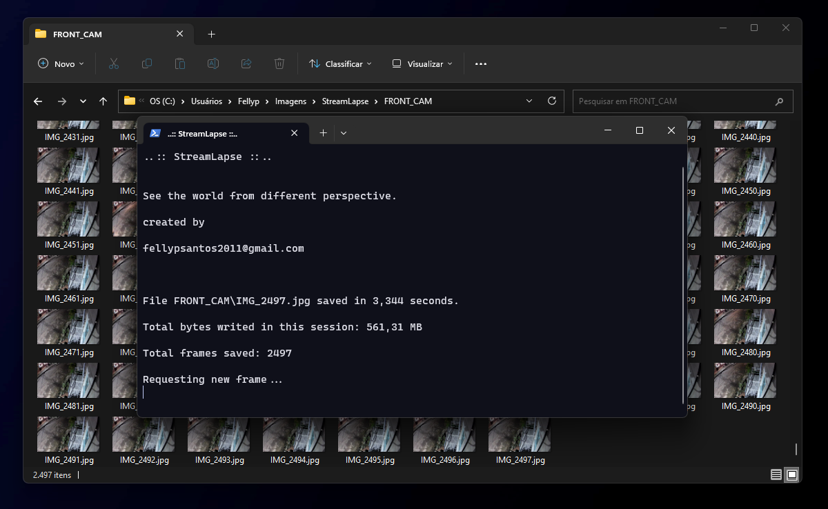 GitHub - fellypsantos/StreamLapse: Connects to IP camera and save frames after some interval to ...