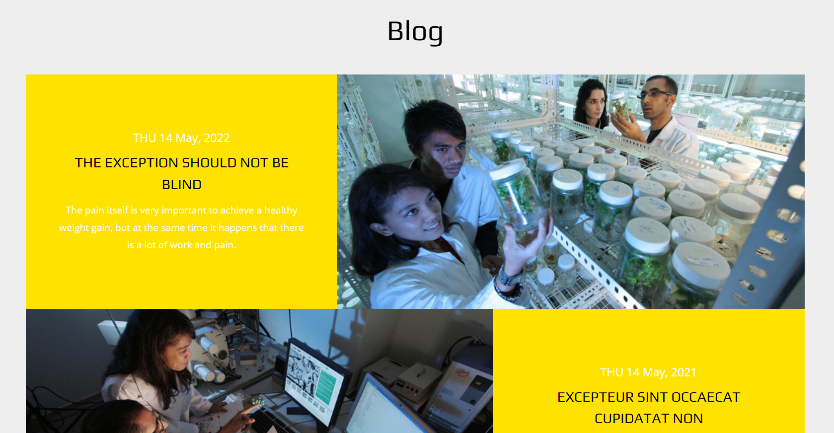 GitHub - Deviprasad-05/FutureReadyTalentReadyProject