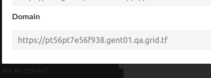 domain created in mattermost is missing in details page after deployment · Issue #1266 ...