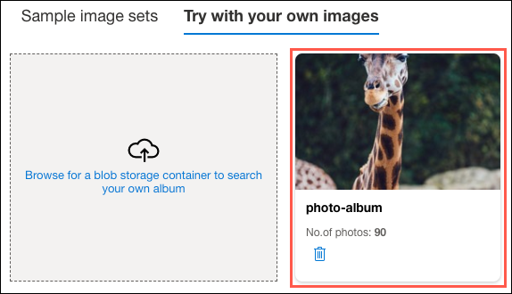 different number of loaded photos · Issue #3 · MicrosoftLearning/mslearn-cognitive-vision · GitHub