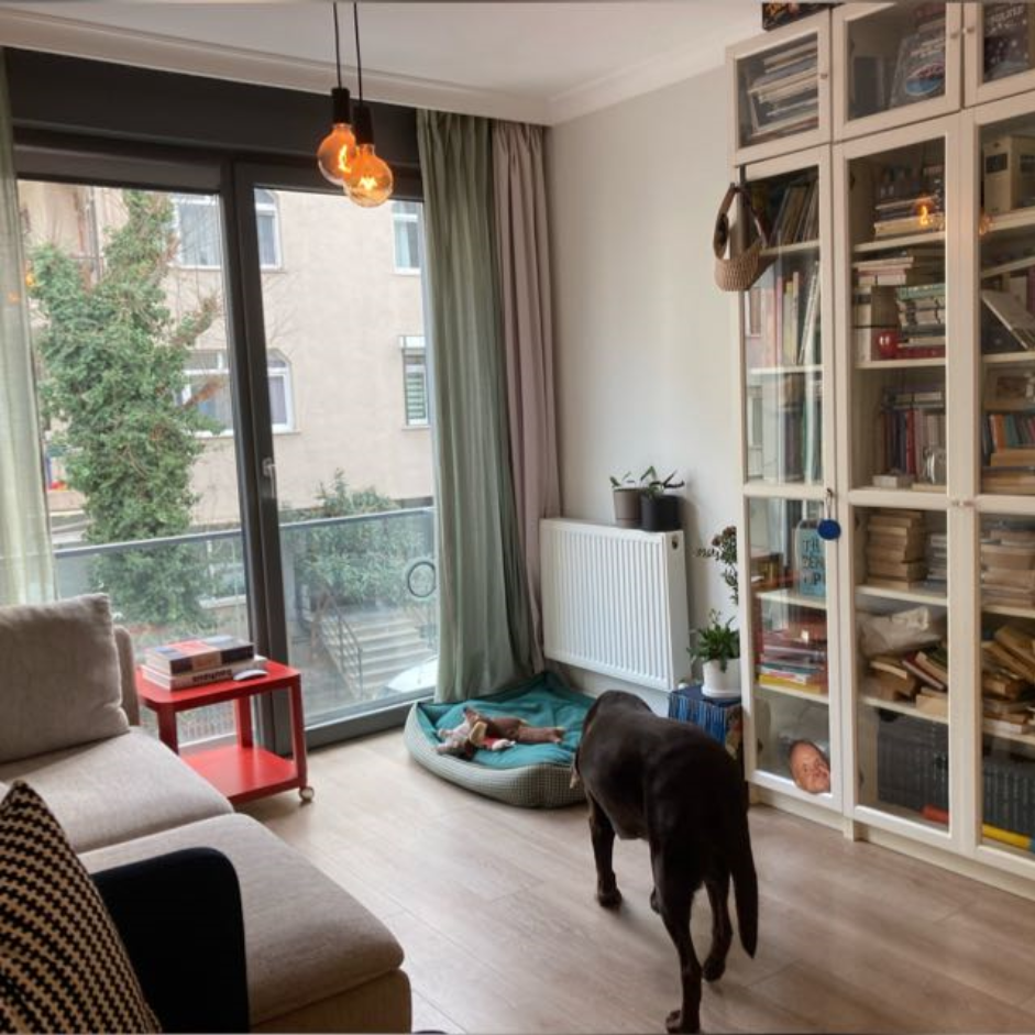 GitHub - egecalay/ekin-project-website: Ekin's portfolio website