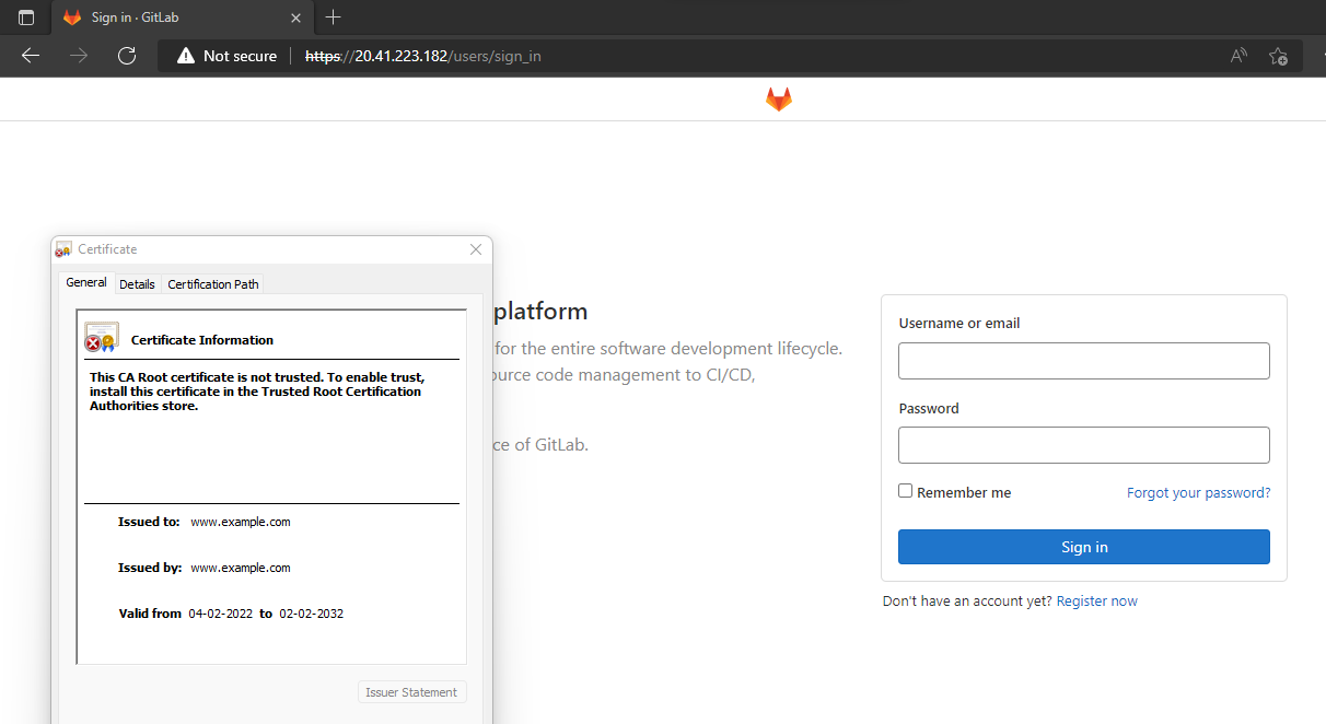 bind the SSL certificate in the GitLab server · Issue #238 · bitnami/vms · GitHub