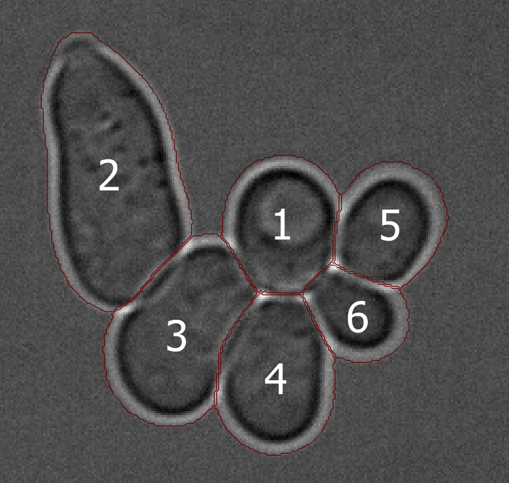 Cell tracking whitelist · Issue #127 · SchmollerLab/Cell_ACDC · GitHub