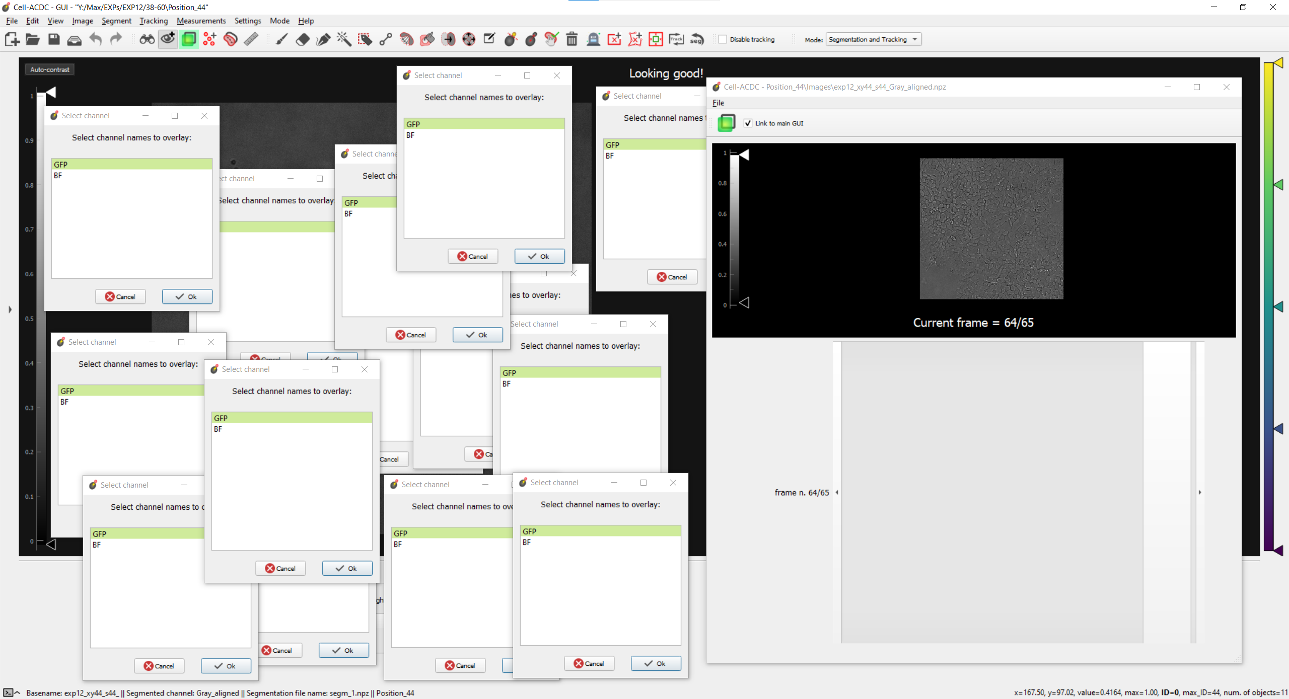 Slideshow breaks when trying to overlay channels. · Issue #275 · SchmollerLab/Cell_ACDC · GitHub
