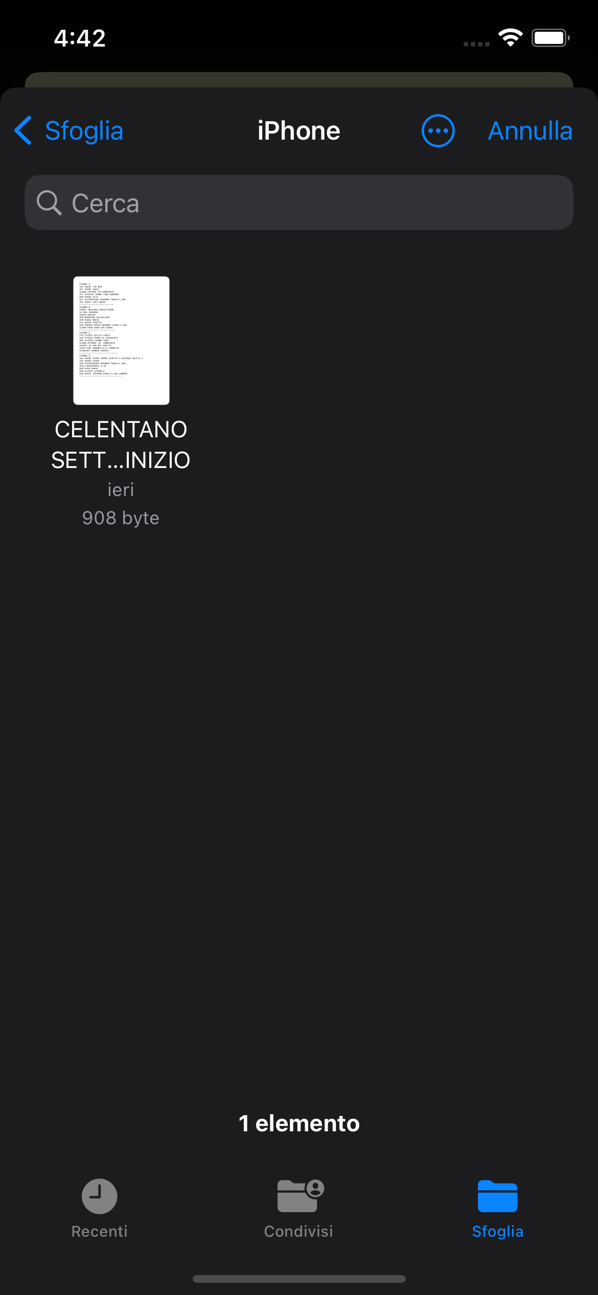 GitHub - g-celentano/gym_program_reader