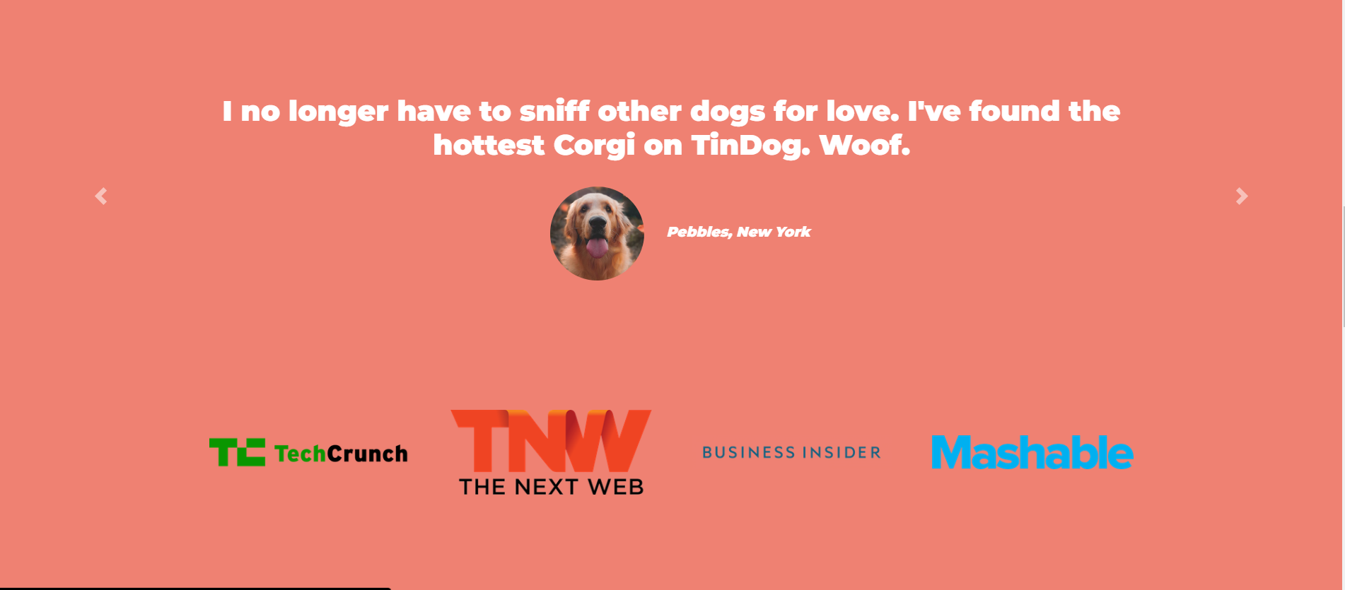 GitHub - SOHAMRAJENDRABHORE/tindog-startup-website