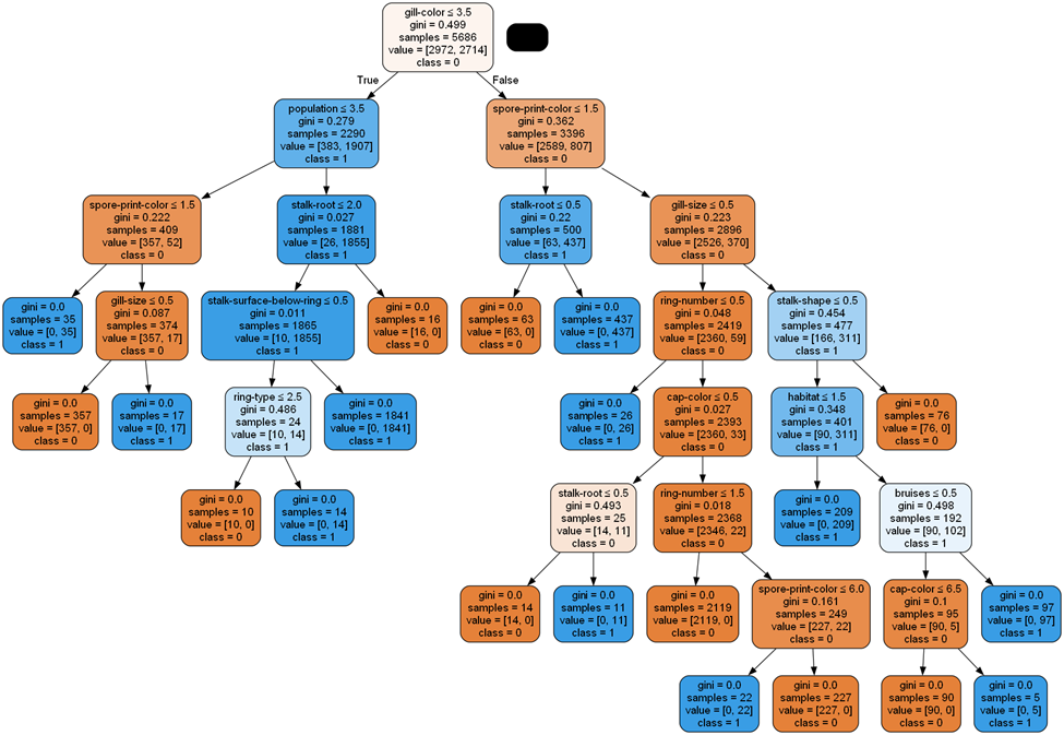 Github Trifanlucianml Binary Classification Fungi Binary Classification Of Fungi Using Knn