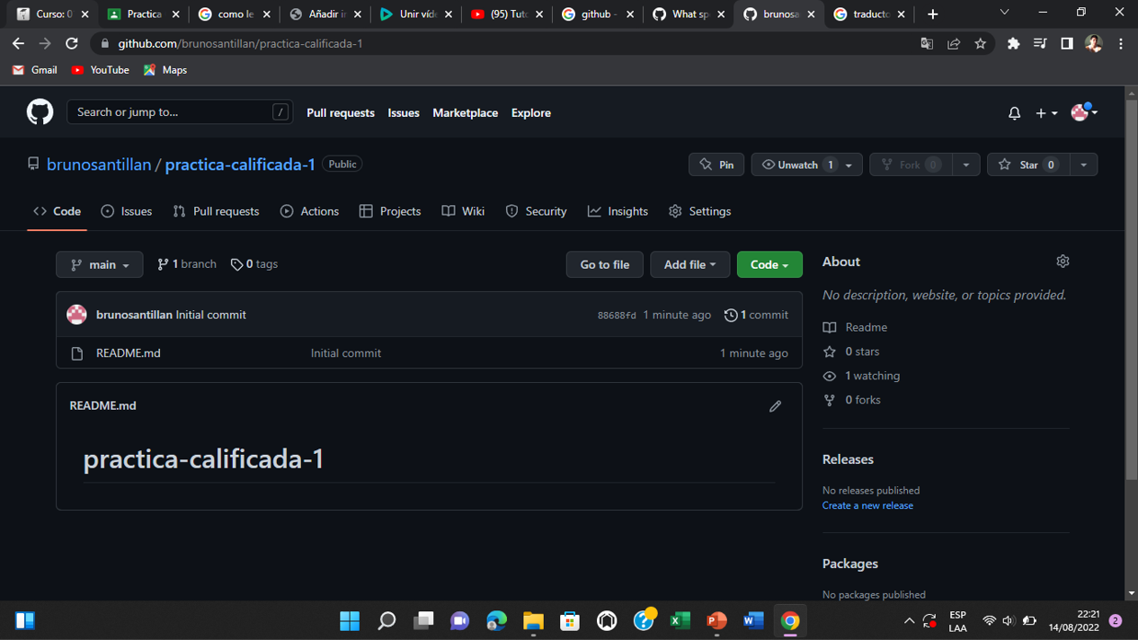 GitHub - brunosantillan/practica-calificada-1