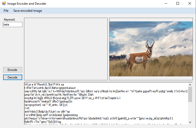 GitHub - akingry/SteganographyWithEncryption: Enables users to encode and decode messages within ...