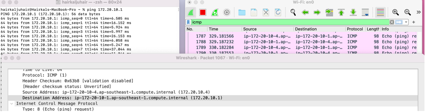 GitHub - hairkalj/Ping-Network-Project: Looking at your own Network ...