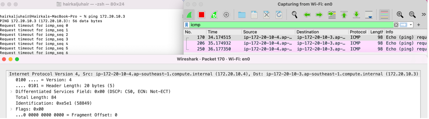 GitHub - hairkalj/Ping-Network-Project: Looking at your own Network ...