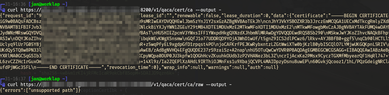 Requests to `cert/.../raw` fail for no reason · Issue #22688 · hashicorp/vault · GitHub